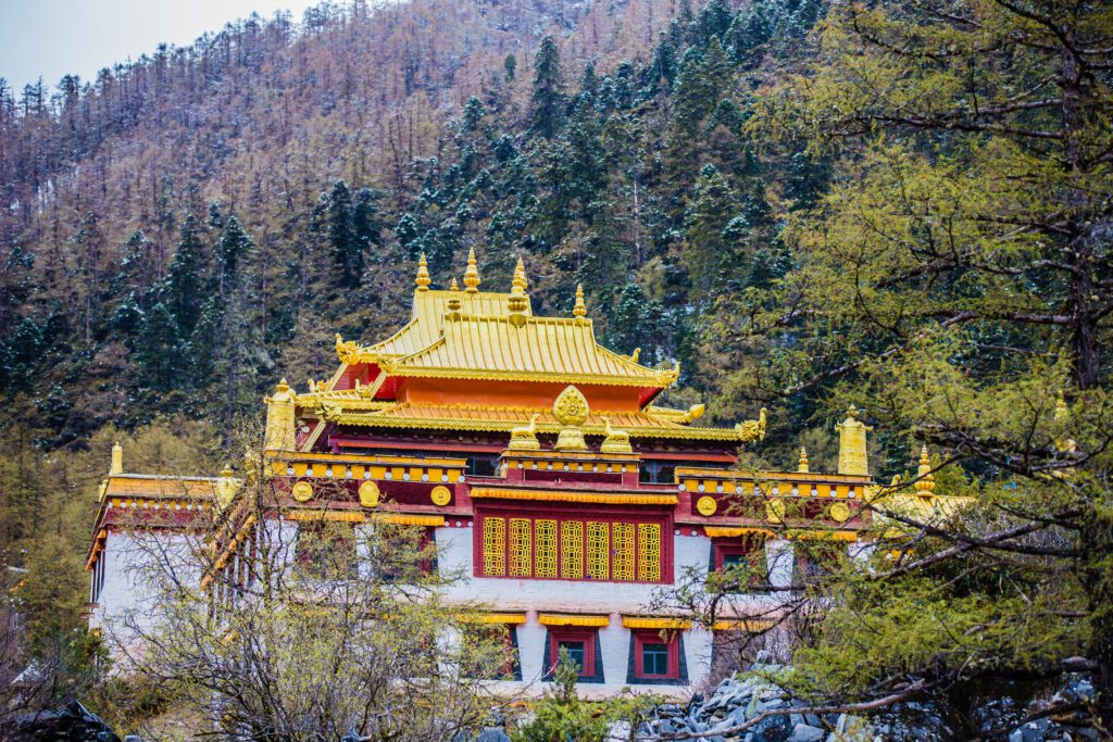 Daocheng Aden Tibet Travel Exploration: Traveling to "The Last Pure ...